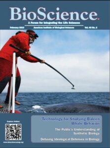 New paper on integrated approaches to studying baleen whales – Ari ...